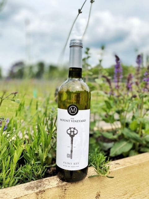 Mount Vineyard Wines – Ten Acres ~ The Shop at The Mount Vineyard