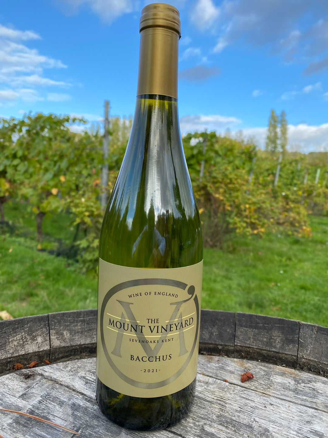 Mount Vineyard Wines – Ten Acres ~ The Shop at The Mount Vineyard