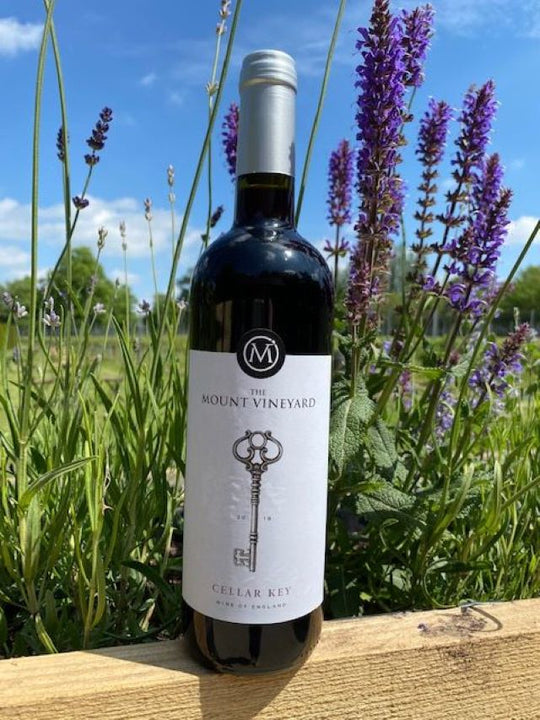 Mount Vineyard Wines – Ten Acres ~ The Shop at The Mount Vineyard