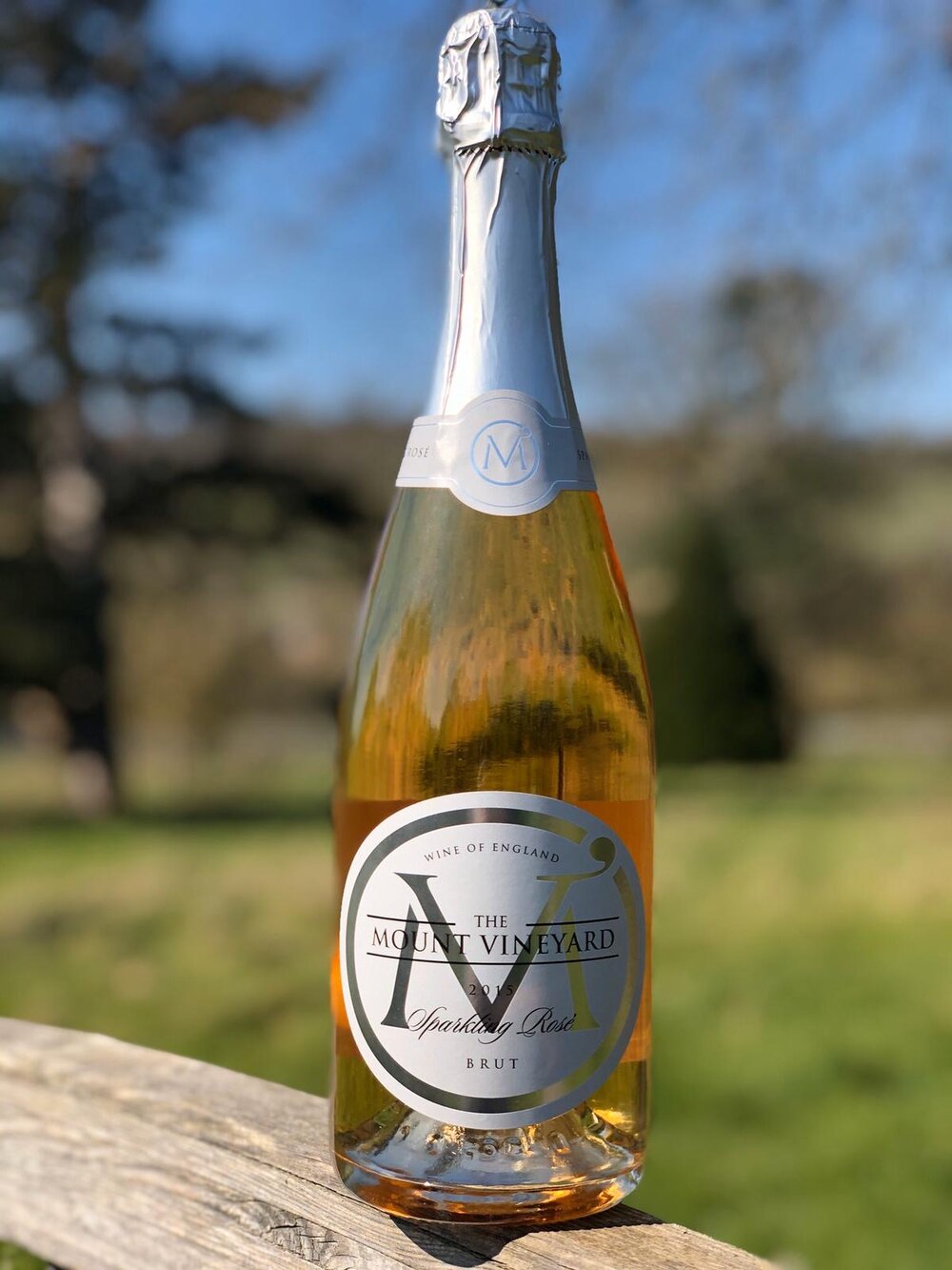 Mount Vineyard Wines – Ten Acres ~ The Shop at The Mount Vineyard